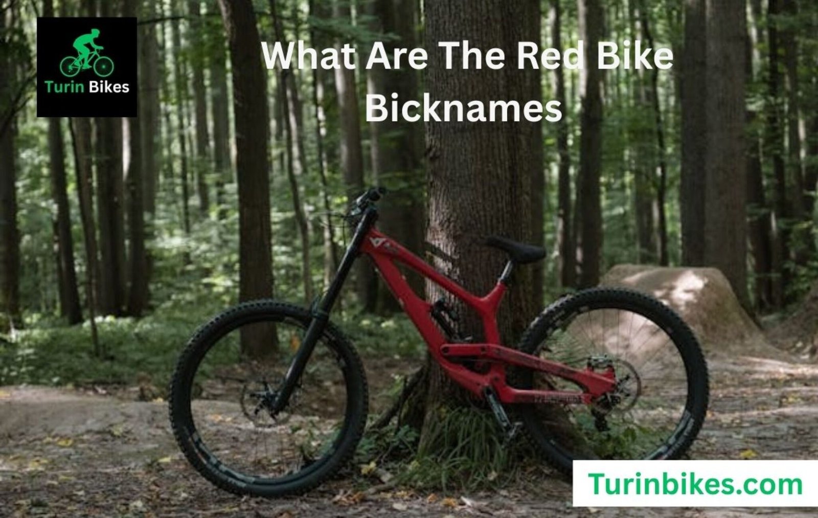 Catchy Red Bike Nicknames: Creative, Fun, and Cool Ideas for Your ...